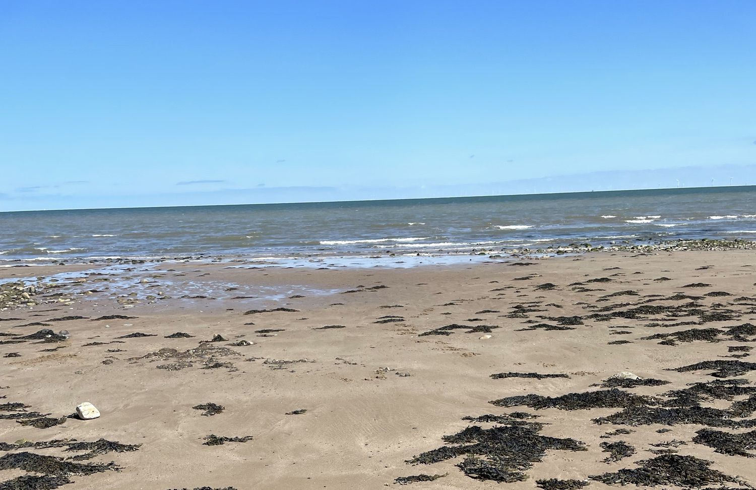 To Panic is To Laugh – Pure and Simple